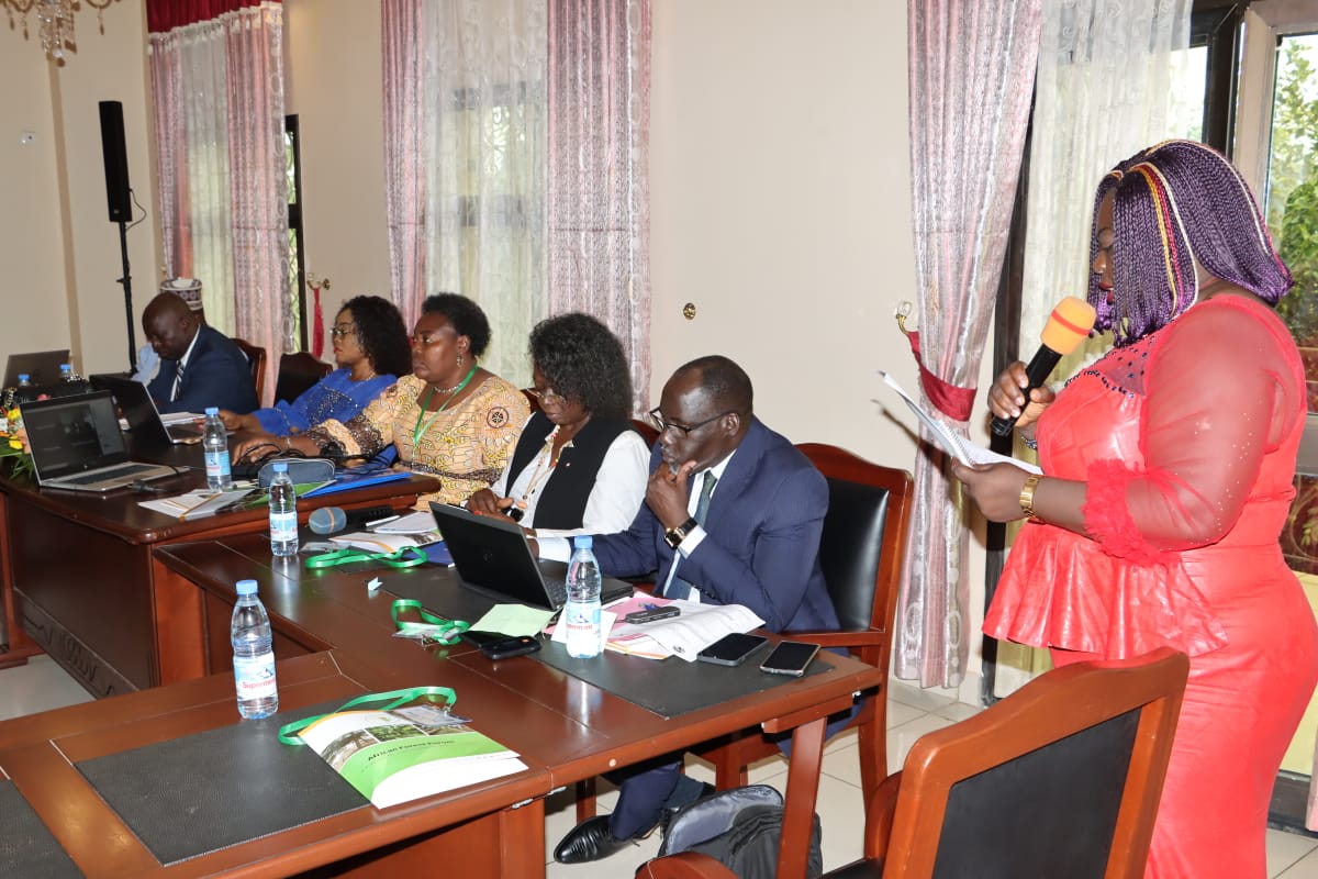 Cameroun: vers une réponse politique améliorée et harmonisée aux défis ...